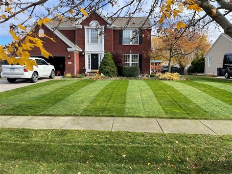 Blue Envy™ Elite Kentucky Bluegrass Blend Twin City Seed Company