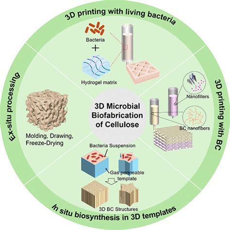 Cellulosestruktur 3d