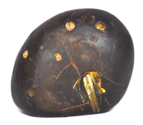 Kodanda Rama Shaligram Rudraksh Guru