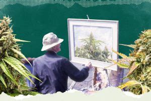 Frases Sobre Marihuana Que Inspiran Y Hacen Reflexionar