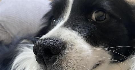 Happy Underbite Album On Imgur