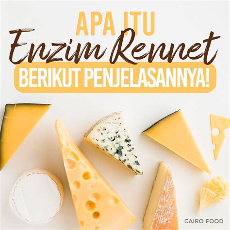 Apa Itu Enzim Rennet Berikut Penjelasannya Cairo Food