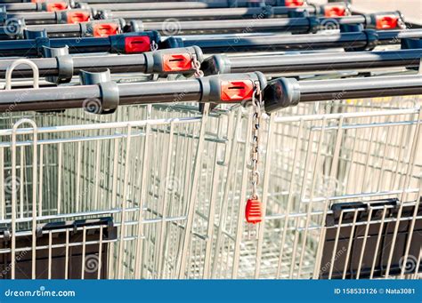 Shopping Carts In The Store Assembled In A Row In The Parking Lot