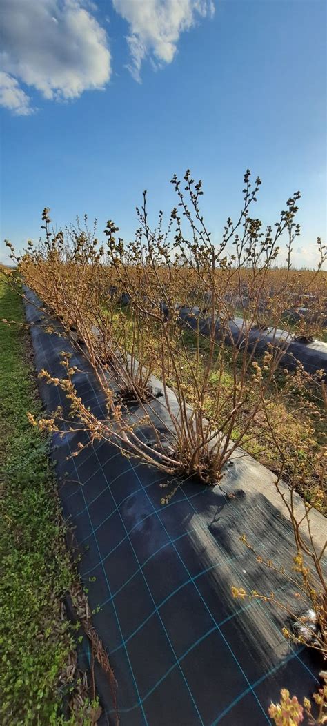 Ionel Simion On Linkedin România