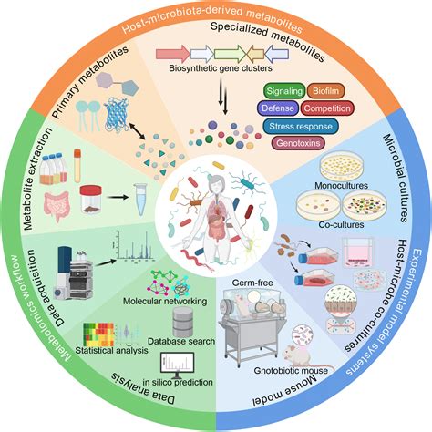 Mass Spectrometry Based Metabolomics Approaches To Interrogate Hostmicrobiome Interactions In