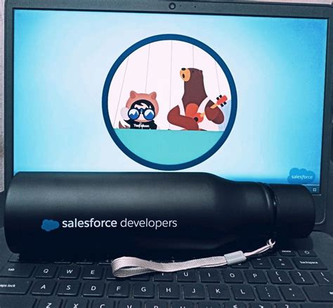 Swayam Prabha Singh On Linkedin Salesforcedeveloper Journey2salesforce Developercommunity