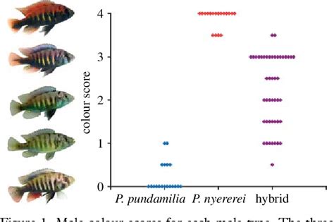 Figure 1 From Female Mating Preference Functions Predict Sexual Selection Against Hybrids
