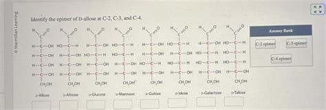Identify The Epimer Of D Allose At C 2 C 3 And C 4 Image Of Various