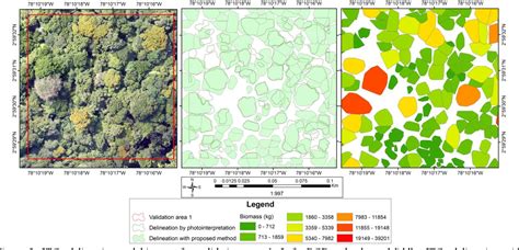 Figure 3 From Individual Tree Crown Delineation And Biomass Estimation