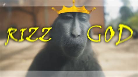 Monkey Rizz Wallpapers Wallpaper Cave