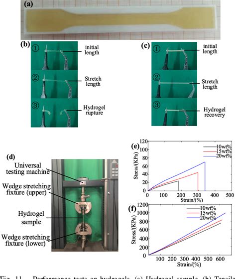 Figure 11 From Design And Testing Of A Magnetic Soft Crawling Robot With Multimodal Locomotion
