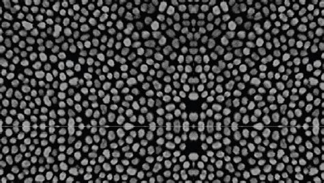 Zeiss Evo Ls15 Scanning Electron Microscope With Edx Kings College