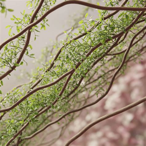 Natural Resource Strain → Area