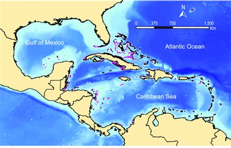 1 Location Of Coral Reefs Purple In The Caribbean Source Mumby Et Download Scientific