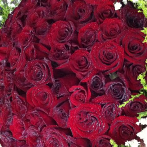 Linxia Zhang Shanghai Jiao Tong University Shanghai Sjtu Luh Bor S Research Center For