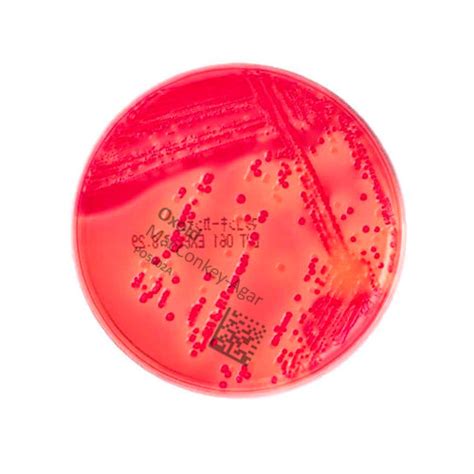 Oxoid Macconkey Agar Medipartner Praxis Pflege Und
