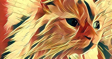 Freddie Prisma I Was Impressed By How Well Some Of These Filters