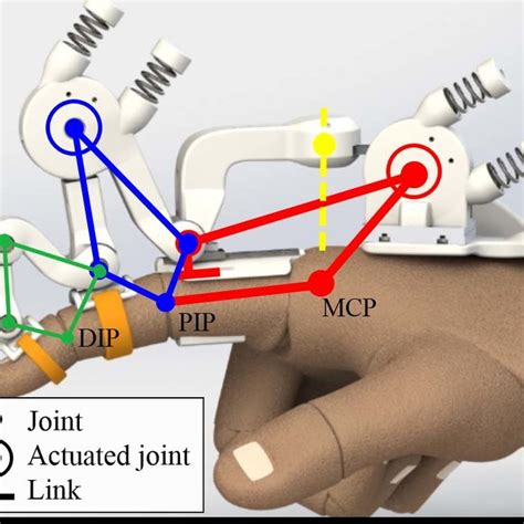Pdf Accurate Torque Control Of Finger Joints With Ut Hand Exoskeleton Through Bowden Cable Sea