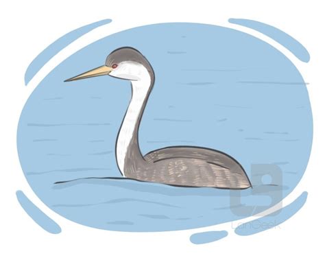 Definition And Meaning Of Grebe Langeek