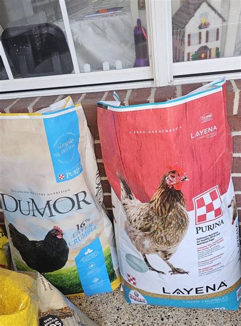 Dumor 16 Layer Crumbled Chicken Feed At Tractor Supply Co