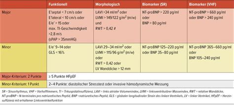 Hfpef Schrittweise Zur Diagnose Und Eine Erste Wirksame Therapie Kardiologie And Gefässmedizin