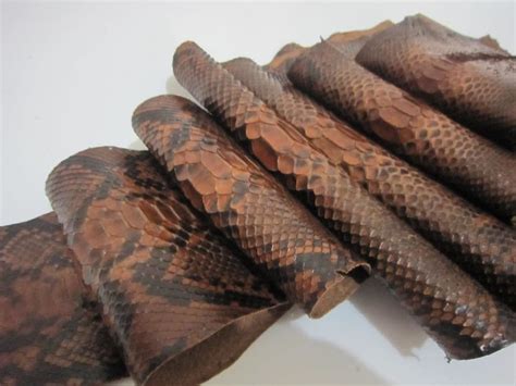 Python Skins Tradekorea