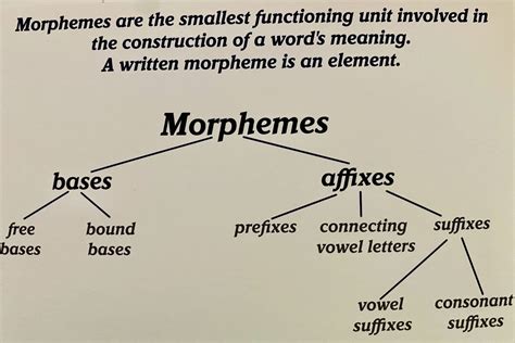 Free Morpheme Examples To Enhance Your Language Skills Free Morpheme Examples To Enhance Your Language Skills
