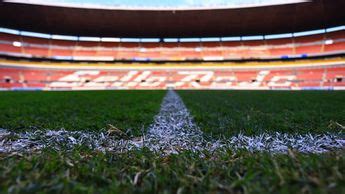 Estadio Jalisco ¿cuánto Costará La Renovación De La Cancha Grupo Milenio