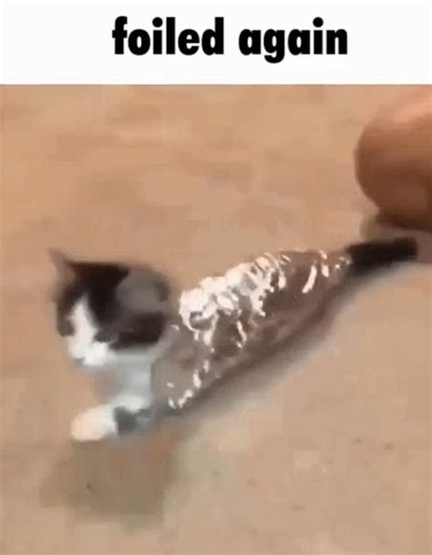 Foiled Again R Oneshot