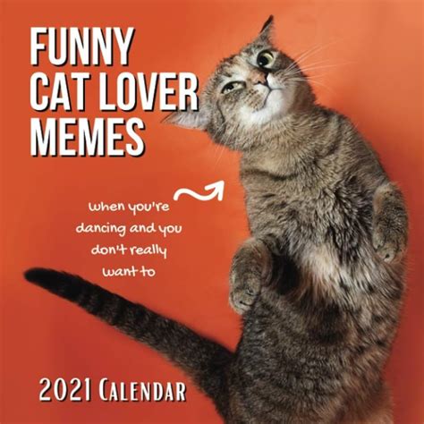 Funny Cat Person Memes