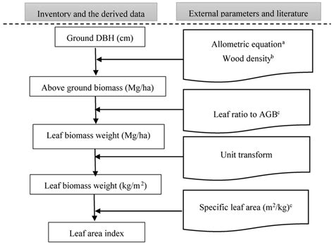workflow for the generation of the plot based leaf area index lai