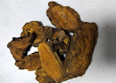 Turkey Rhubarb Root What It Is Benefits And Side Effects Health