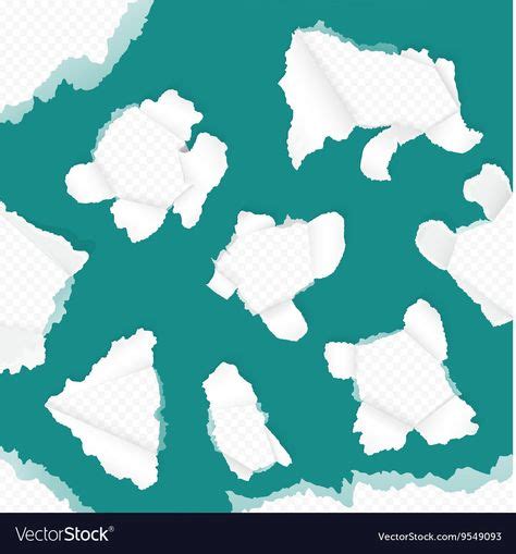 Realistic Scroll Paper Set