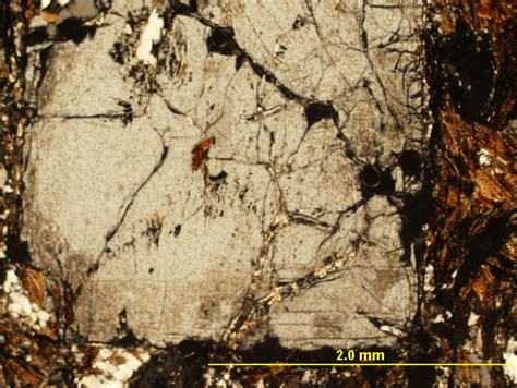 Andalusite Thin Section