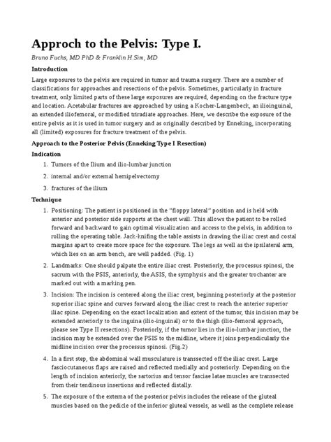 Approach Pelvis Type I Download Free Pdf Pelvis Limbs Anatomy