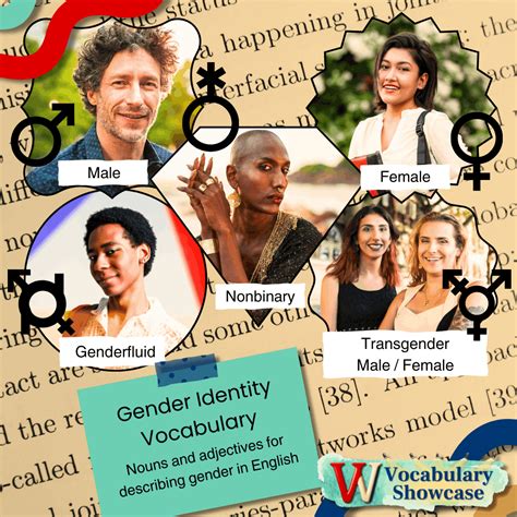 Gender Identity Vocabulary Vocabulary Showcase — Wright English