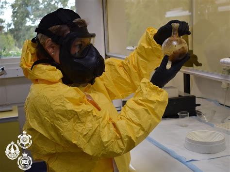 Ntpfes Celebrates Forensics Experts On International Day Of Women And