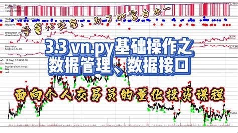 3 3 用python做比特币的量化交易实盘之vn py基础操作 数据管理、数据接口 youtube