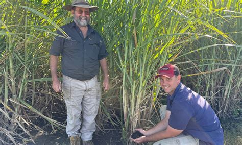 Gordon Bebb Agsolutions