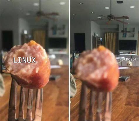 Microsoft ️ Linux R Linuxmemes
