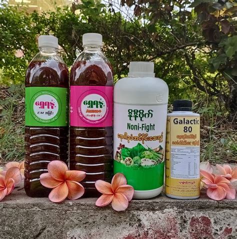 ရွှေရနံ့ကထုတ်တဲ့aminoအားဆေးသည် မွေးမြူရေးတိရစ္ဆာန်တွေဖြစ်တဲ့ ကြက်၊ဘဲ