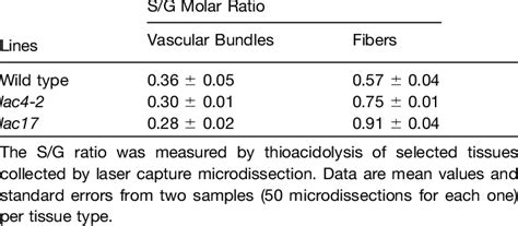 Lignin Composition In The Vascular Bundles And In The Interfascicular Download Table