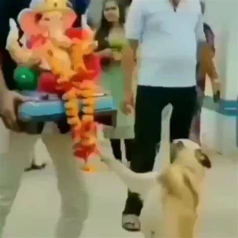 Video Srinisrinivasulu T On Linkedin Credits