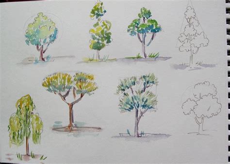 5 Fun And Easy Watercolor Trees Skillshare Student Project