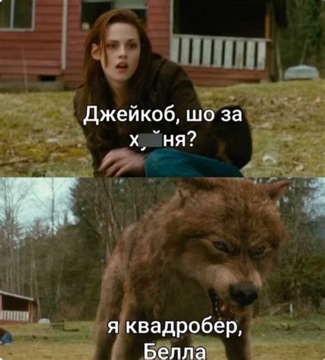 Квадробобер | Пикабу