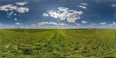 Spherical 360 Hdri Panorama Among Green Grass Farming Field With Clouds
