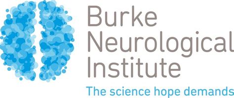 Task Speciﬁc Modulation Of Corticospinal Neuron Activity During Motor