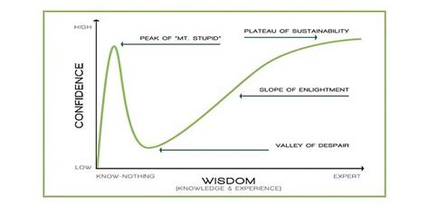 Dunning Kruger Graph Album On Imgur