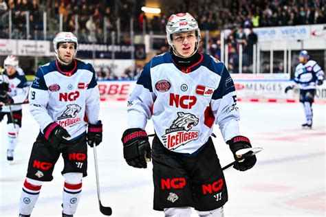 Straubing Tigers Bestätigen Transfers Von Tim Fleischer Und Danjo Leonhardt Eishockey News