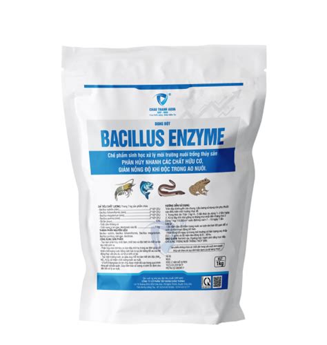 Thuốc Men Vi Sinh Xử Lý Đáy Ao Bacillus Enzyme 1kg ChÂu ThÀnh